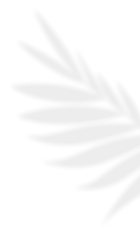 Art Walk - Destin Commons